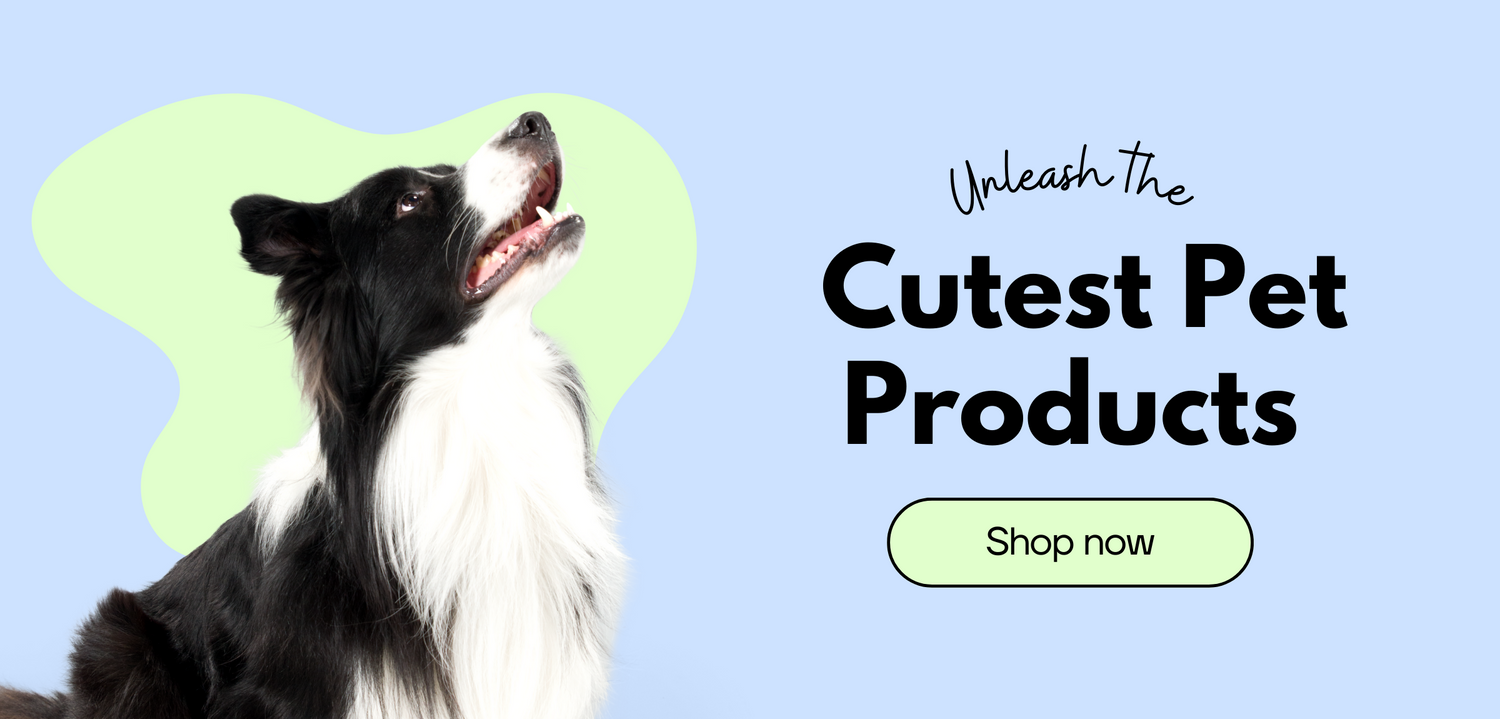 Aussie Paws & Play – Aussie Paws & Play